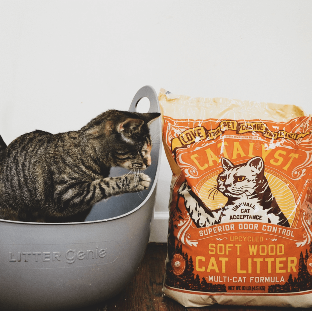 On a mission to improve the planet with Catalyst™ pet: A new ...